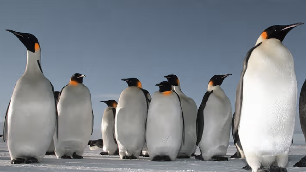 NARIS Webinar ESG Prioriteren op basis van risicomanagement